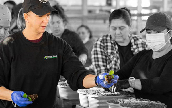 Investing in Training and Development for Workforce Retention